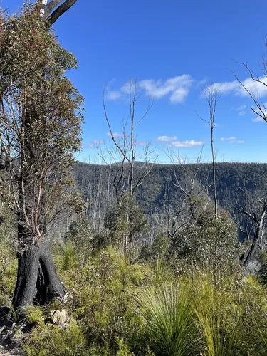 Best Hikes and Trails in Monga National Park | AllTrails