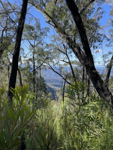 Best Hikes and Trails in Monga National Park | AllTrails