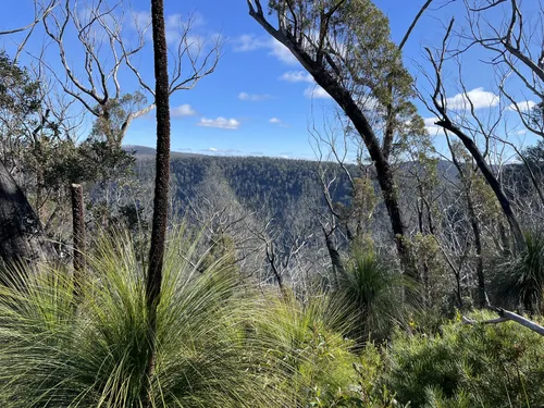 Best Hikes and Trails in Monga National Park | AllTrails