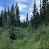 Officers Gulch, Colorado - 650 Reviews, Map | AllTrails