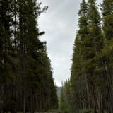 Officers Gulch, Colorado - 650 Reviews, Map | AllTrails