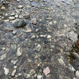 Officers Gulch, Colorado - 650 Reviews, Map | AllTrails