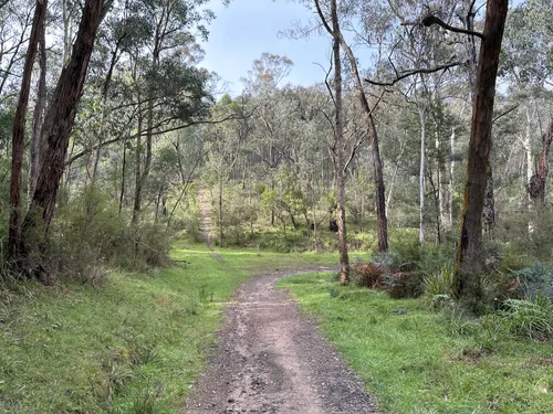 Best Historic Site Trails in Warrandyte State Park | AllTrails