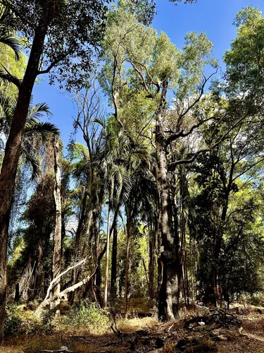 Best Hikes and Trails in Butterfly Gorge Nature Park | AllTrails