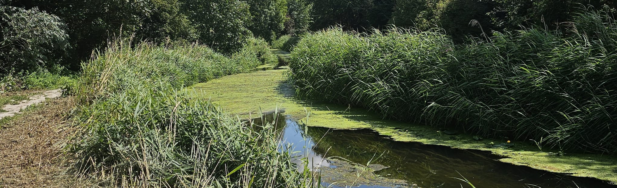 Cambridge, Horningsea, Lode and Teversham Circular, Cambridgeshire ...