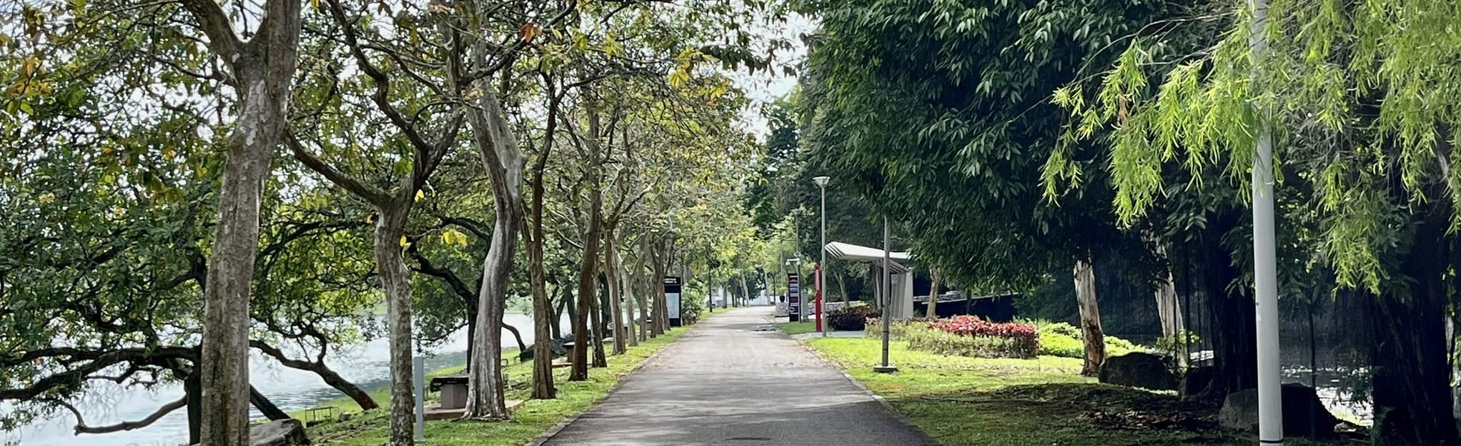 Putrajaya Lake via the Putra Bridge, Malaysia - 9 Reviews, Map | AllTrails