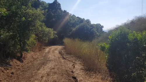 Best Hikes and Trails in Summitridge Park | AllTrails