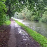 The Bridgewater Canal Nature Trail: Trafford Nature Trail: 80 fotos ...