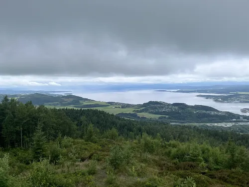 2023 Best 10 Trails, Walks, and Paths in Steinkjer | AllTrails