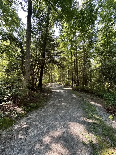 Best Hikes And Trails In Dorey Park Alltrails