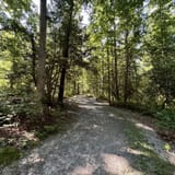Dorey Park Trails, Virginia - 194 Reviews, Map | AllTrails
