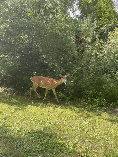 Best Hikes and Trails in Steve Michaud Park | AllTrails