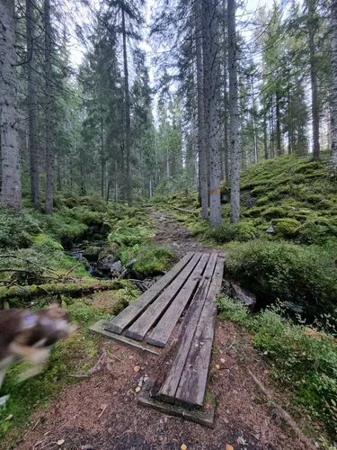 2023 Best Wild Flowers Trails in Kindla Naturreservat | AllTrails
