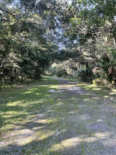 Best Hikes and Trails in Washington Oaks Gardens State Park | AllTrails