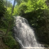 Bushkill Falls Red Trail, Pennsylvania - 592 Reviews, Map | AllTrails