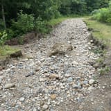 Saco River Trail, New Hampshire - 510 Reviews, Map | AllTrails