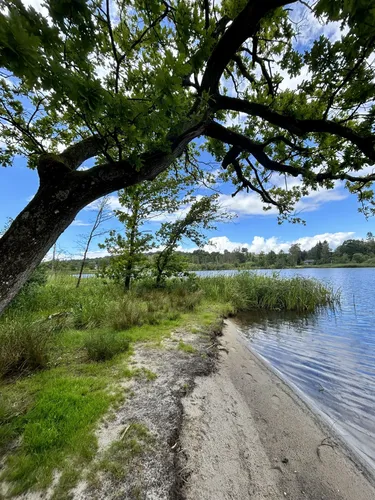 10 Best Trails and Hikes in Denmark | AllTrails