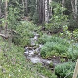 Middle Frisco Trail, Colorado - 128 Reviews, Map | AllTrails