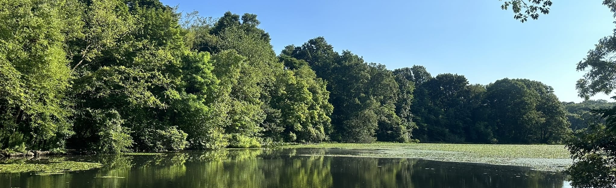 Van Cortlandt Park Trail, New York - 316 Reviews, Map | AllTrails