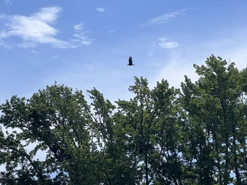 Best Hikes and Trails in Wye Island Natural Resource Management Area ...