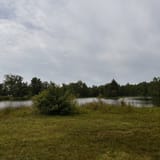Silver Lake Loop, Virginia - 233 Reviews, Map | AllTrails