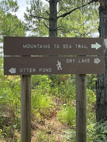 2023 Best Lake Trails in Holly Ridge | AllTrails