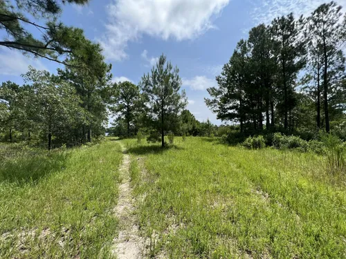 2023 Best Lake Trails in Holly Ridge | AllTrails