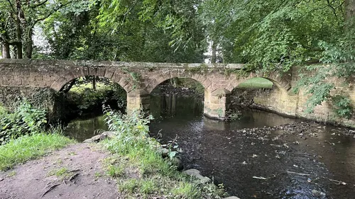 Best Trails, Walks, and Paths in Bedale | AllTrails