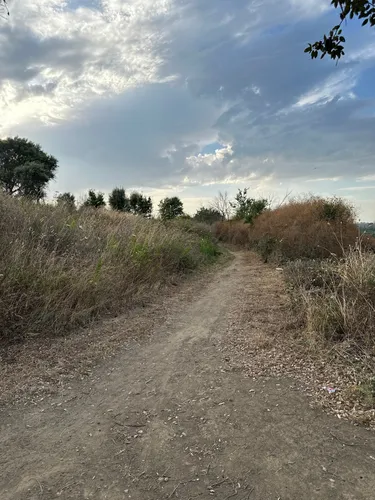 10 Best Walking Trails in Rome | AllTrails