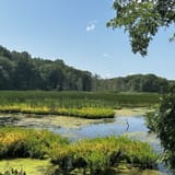 Atwater Loop Trail, Michigan - 830 Reviews, Map | AllTrails