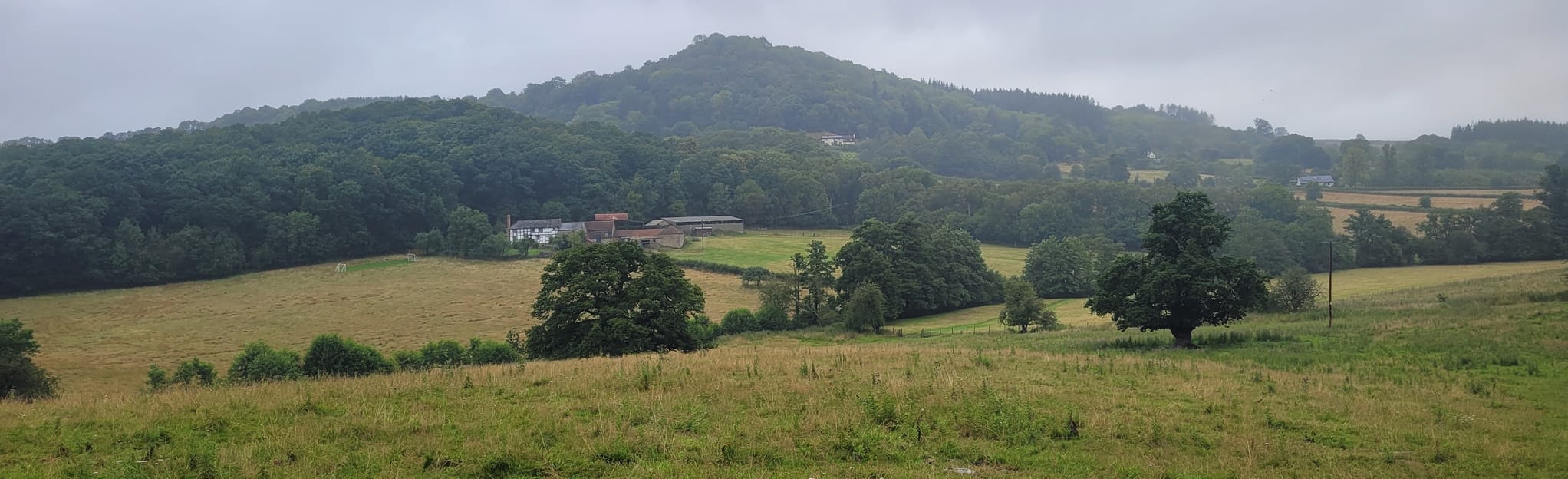 Haugh Woods and Joans Hill Farm Reserve, Herefordshire, England - 36 ...