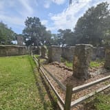 Cannon’s Point Preserve, Georgia - 126 Reviews, Map | AllTrails