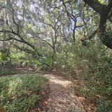 Cannon’s Point Preserve, Georgia - 126 Reviews, Map | AllTrails