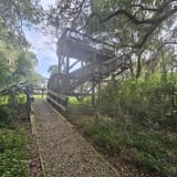 Cannon’s Point Preserve, Georgia - 126 Reviews, Map | AllTrails