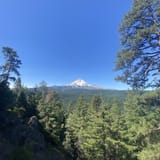 Dog River Trail, Oregon - 252 Reviews, Map | AllTrails