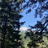 Dog River Trail, Oregon - 252 Reviews, Map | AllTrails