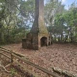Cannon’s Point Preserve, Georgia - 126 Reviews, Map | AllTrails