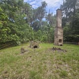 Cannon’s Point Preserve, Georgia - 126 Reviews, Map | AllTrails