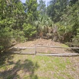 Cannon’s Point Preserve, Georgia - 126 Reviews, Map | AllTrails