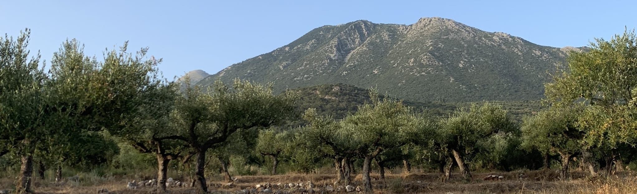 Stoupa - Saidona - Prastio Loop, Peloponnese, Greece - Map, Guide ...