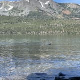 Fallen Leaf Lake Trail, California - 1,110 Reviews, Map | AllTrails