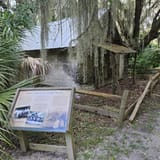 Cannon’s Point Preserve, Georgia - 126 Reviews, Map | AllTrails