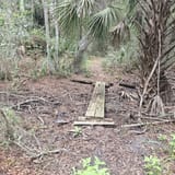 Cannon’s Point Preserve, Georgia - 126 Reviews, Map | AllTrails