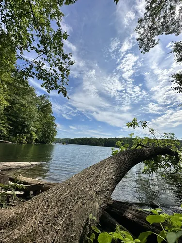 10 Best Hikes and Trails in Loch Raven Reservoir | AllTrails