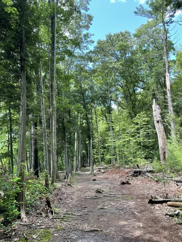 Best Hikes and Trails in Hopkinton State Park | AllTrails