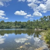 Graham Swamp Trail, Florida - 314 Reviews, Map | AllTrails