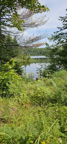 Best Hikes and Trails in Searchmont | AllTrails