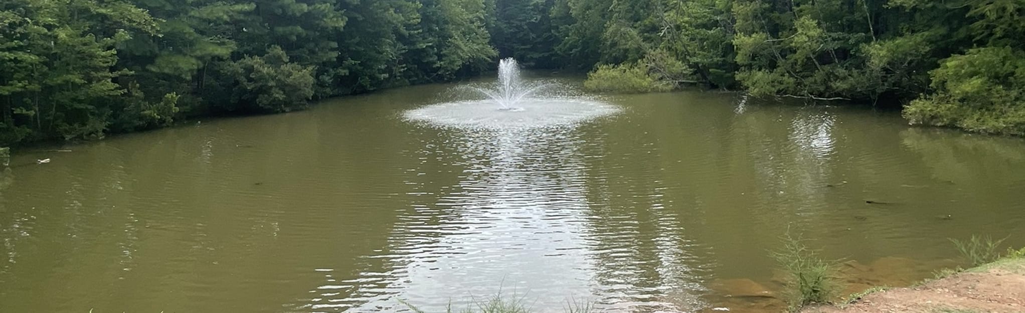 Webb Bridge Park Trail, Georgia - 656 Reviews, Map | AllTrails