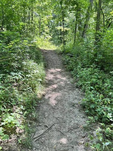 Best Hikes and Trails in Mather Woods Park | AllTrails