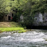 Welch Spring Trail, Missouri - 111 Reviews, Map | AllTrails